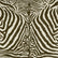 Equus Wallpaper – Lionheart Wallpaper